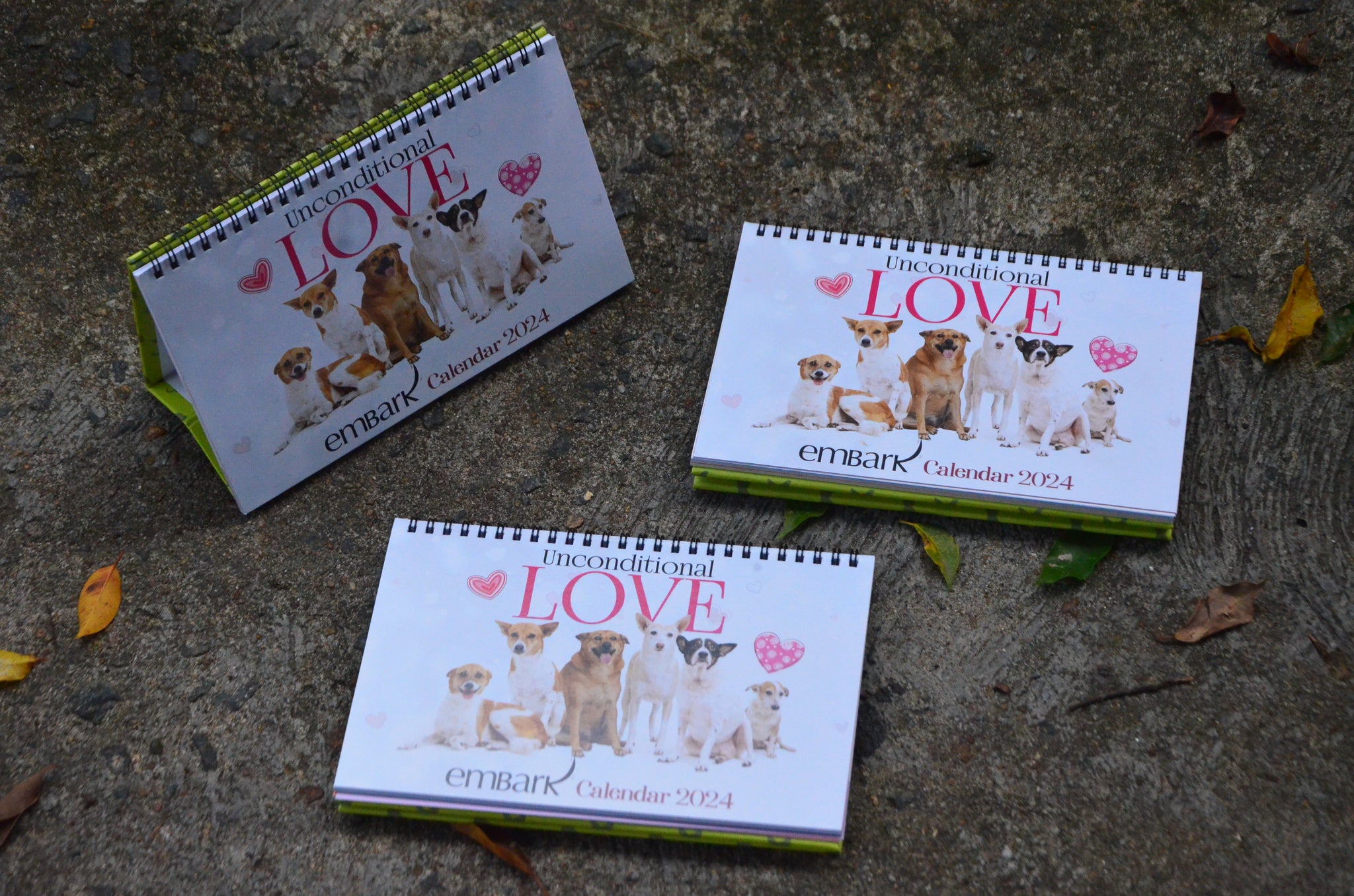 Pictorial Desk Calendar 2024 Embark – Premium Stationers