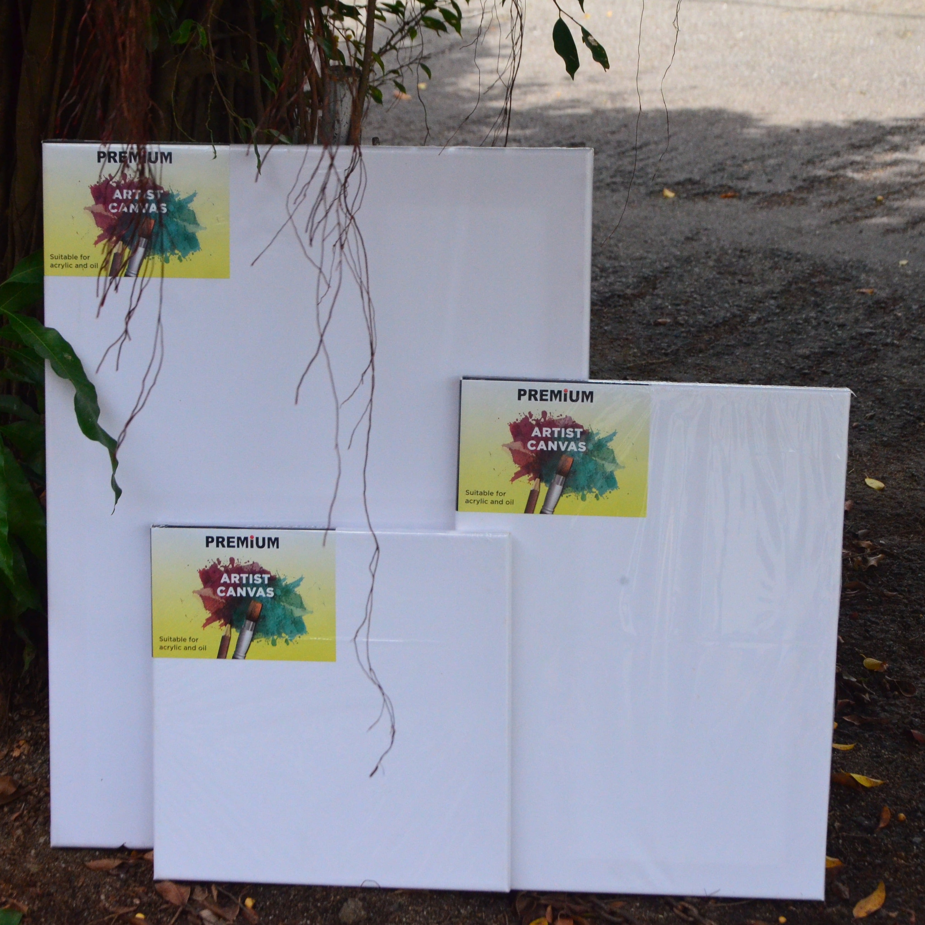 Premium Canvas Board 6"X6" – Premium Stationers